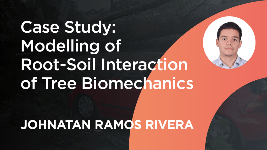 CASE STUDY | Modelling of root-soil interaction of tree biomechanics